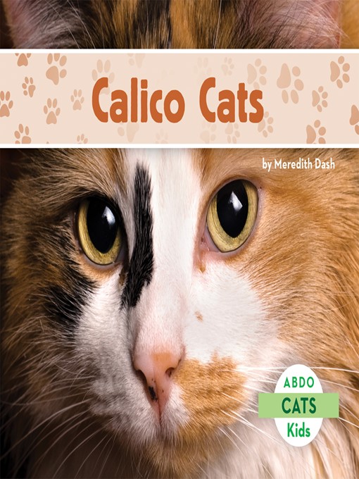 Libby - Calico Cats